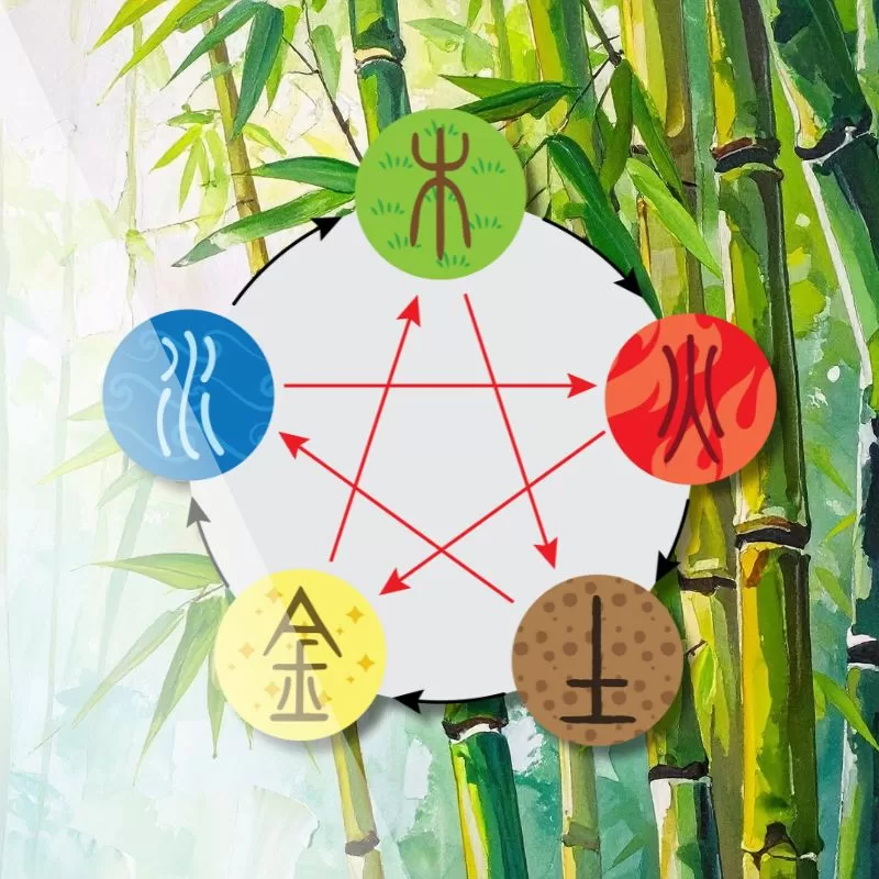 What is Five Element Acupuncture? » That’s The Point! Acupuncture | in ...
